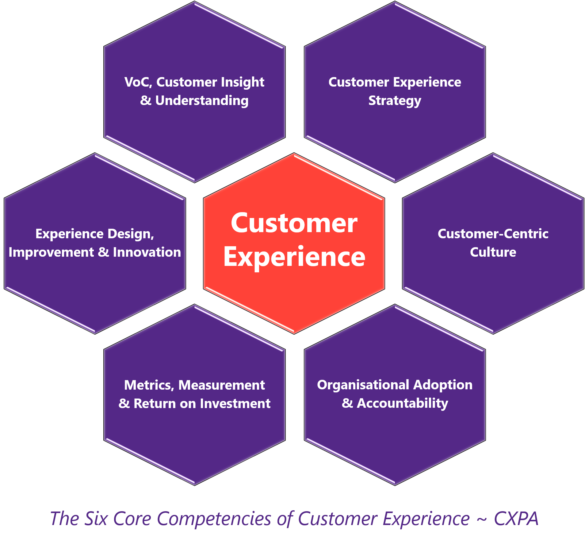 My CCXP Journey | CustomerThink