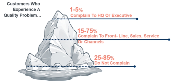 Filling the Black Holes of the Voice of the Customer: Use Operations ...